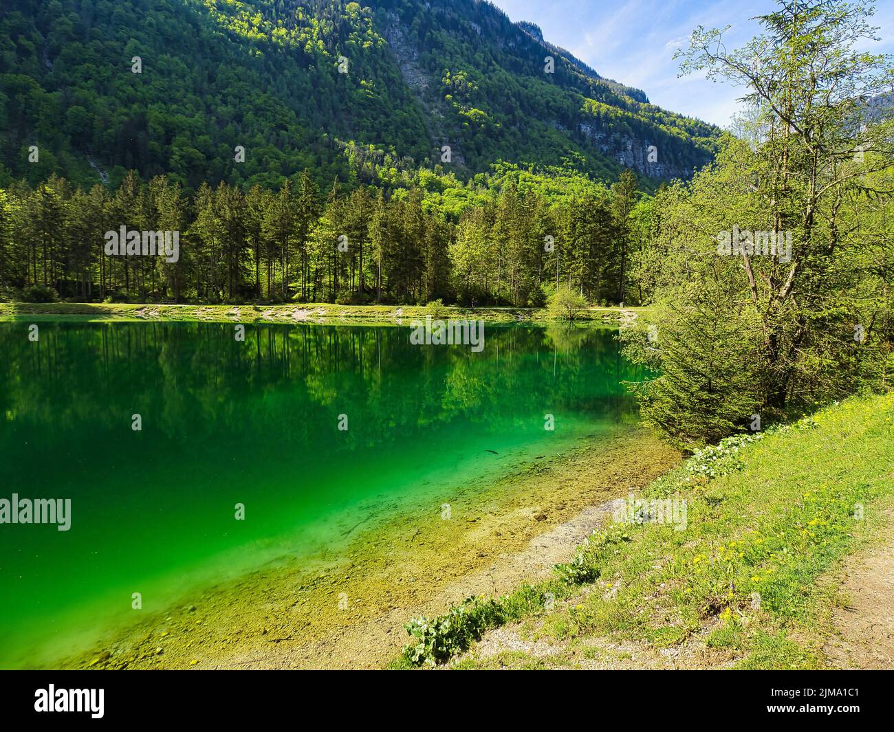 A beautiful view of the calm lake with reflection of trees in the water ...