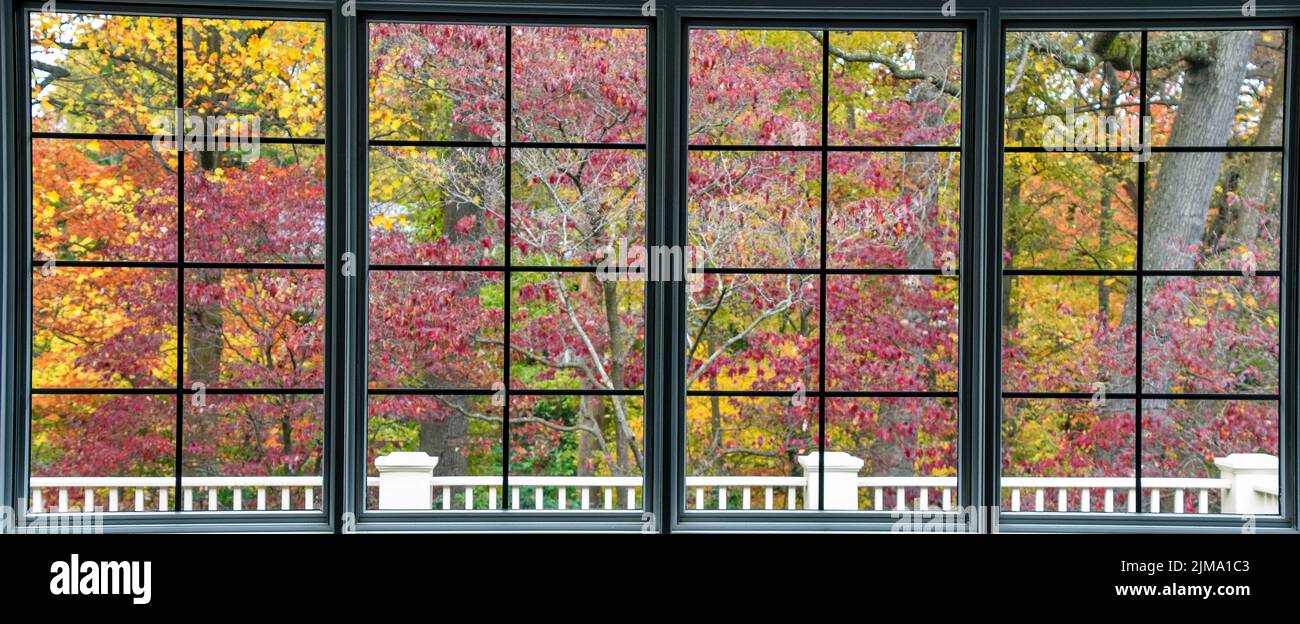 The checkered windows overlooking autumn trees in the garden Stock ...
