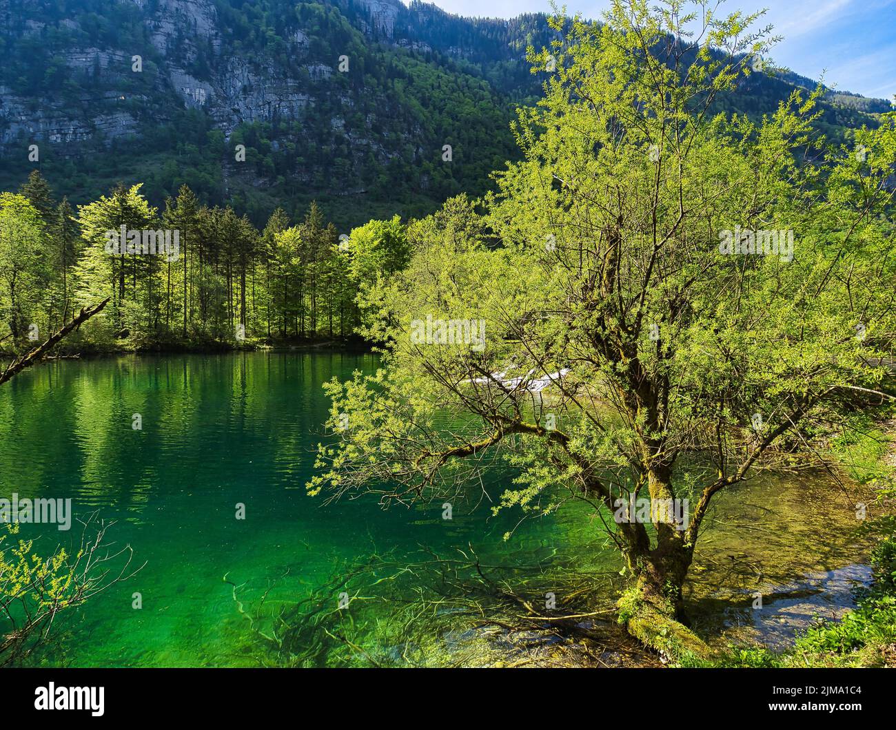 A beautiful view of the calm lake with reflection of trees in the water ...