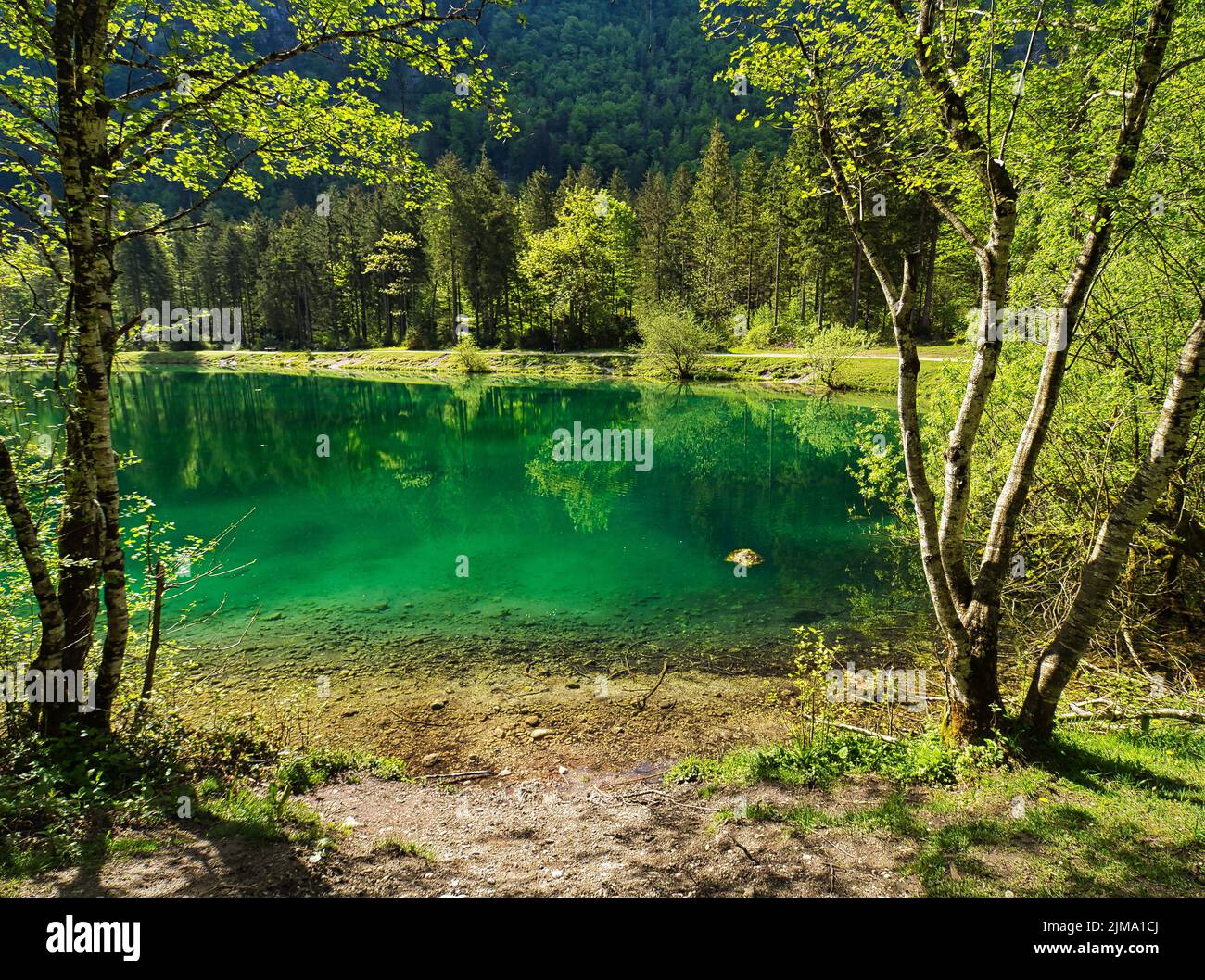 A beautiful view of the calm lake with reflection of trees in the water ...