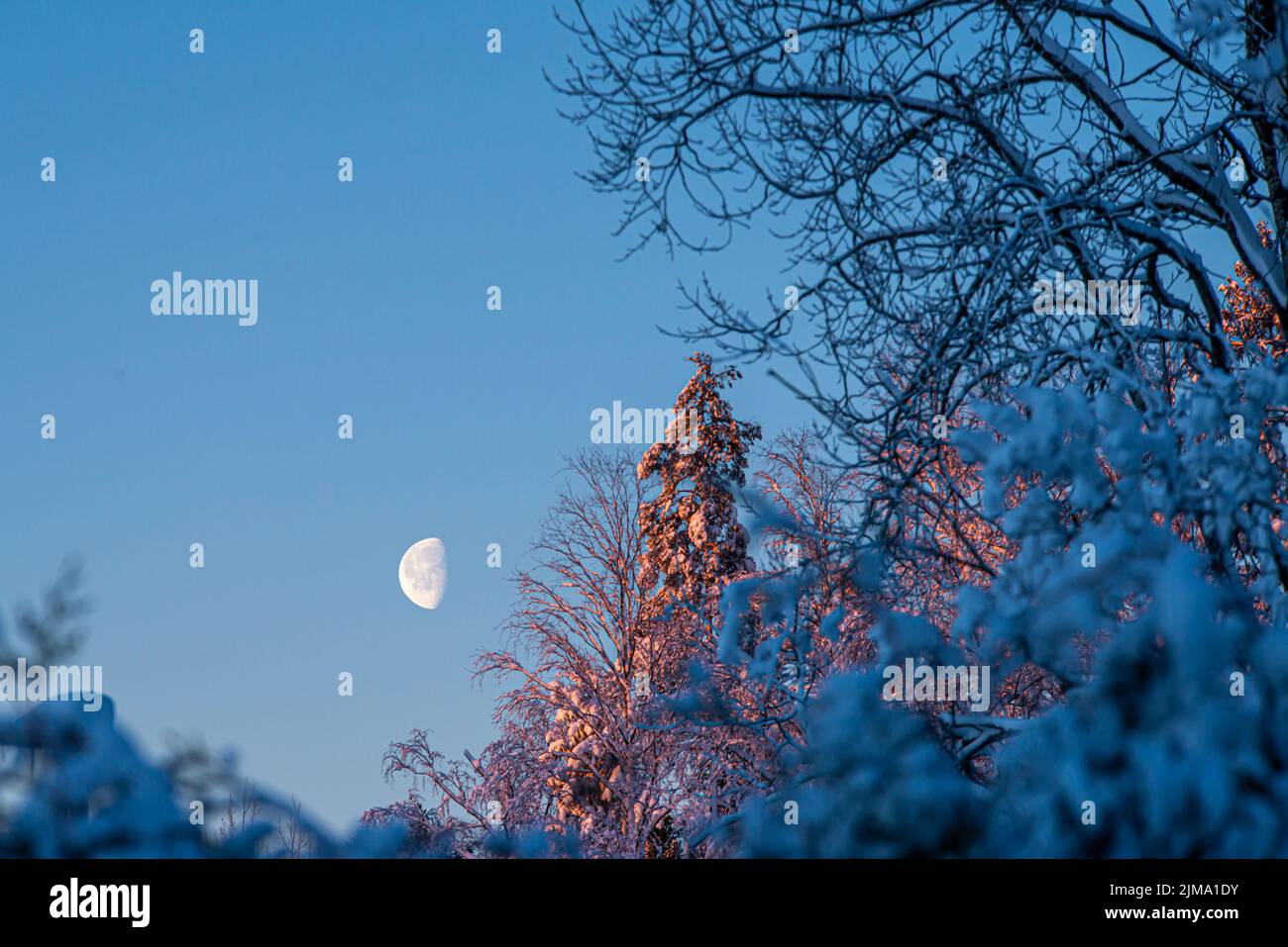 Half moon during daytime hi-res stock photography and images - Alamy