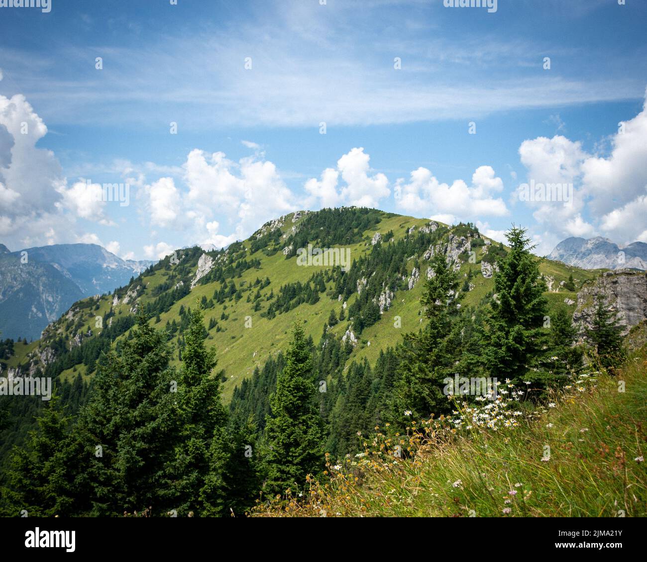 A scenic view of a beautiful hill with evergreen trees against a blue ...