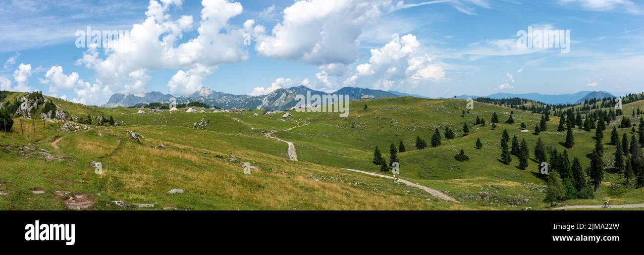 A scenic panoramic view of beautiful hills with evergreen trees and ...