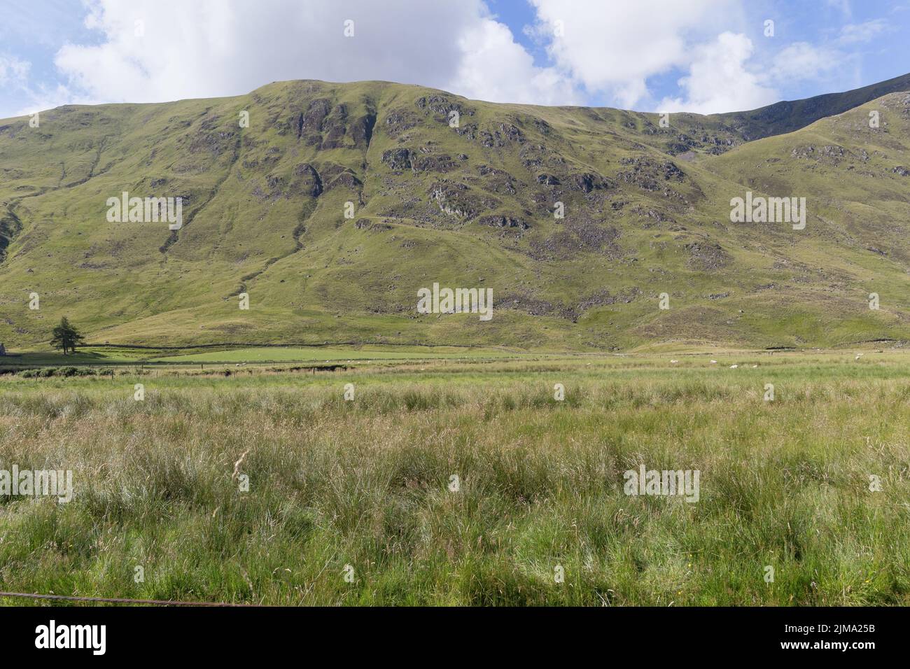 Beautiful natural scenery of a green field with high mountains behind ...