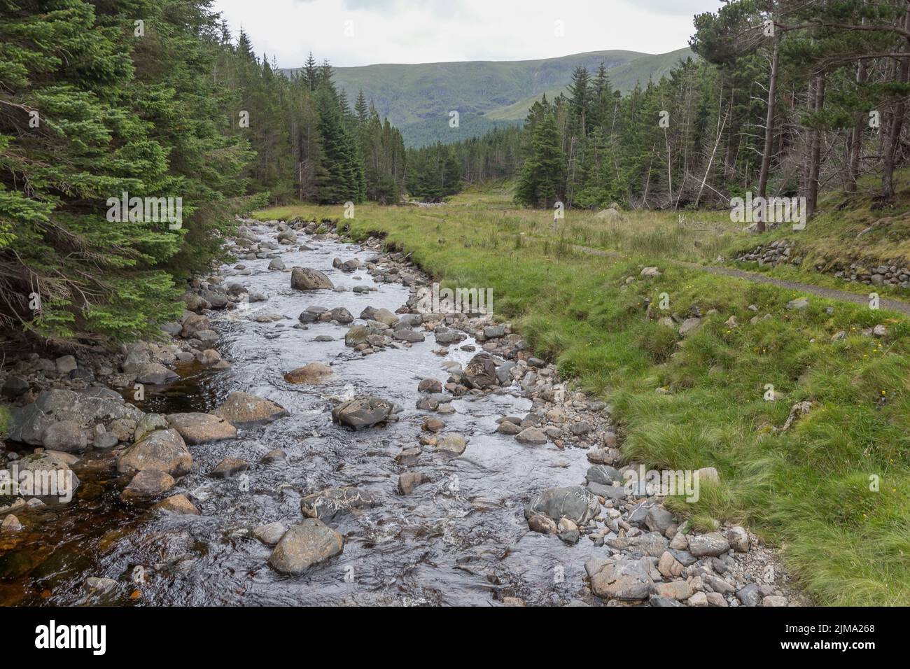 Beautiful natural scenery of a small river flowing over rocks in a ...