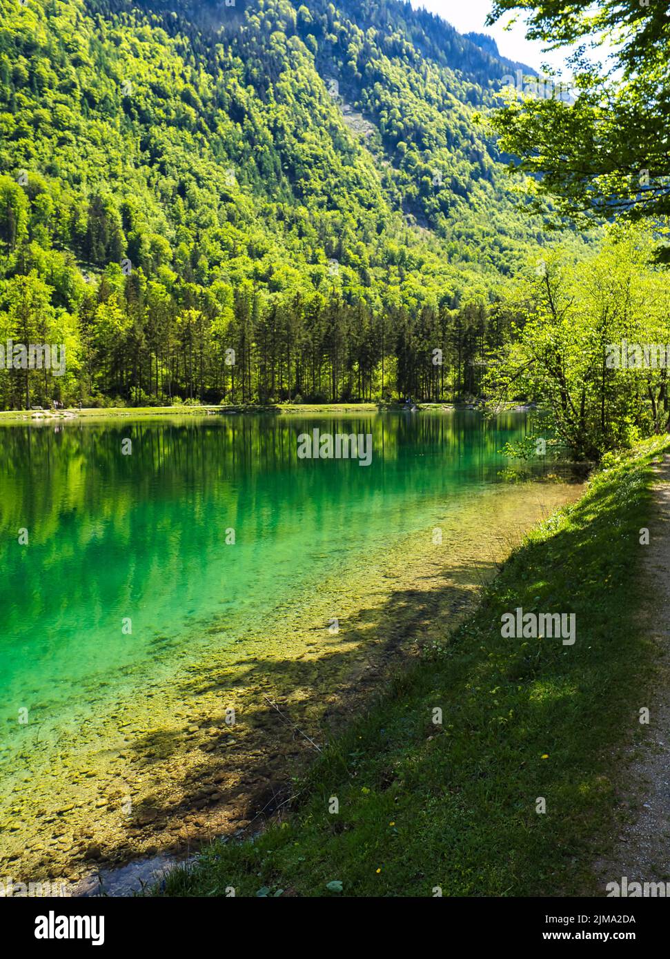 A vertical view of the Bluntausee lake with the background of trees and ...
