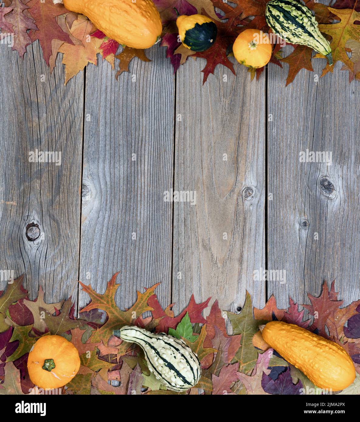 Real autumn gourds and leaves forming borders on rustic wooden boards ...
