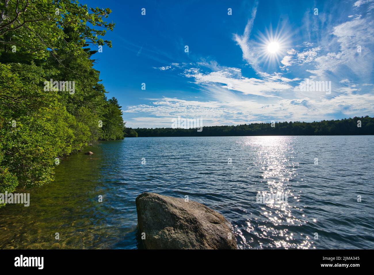 A breathtaking view of a river flowing through the dense green forests ...