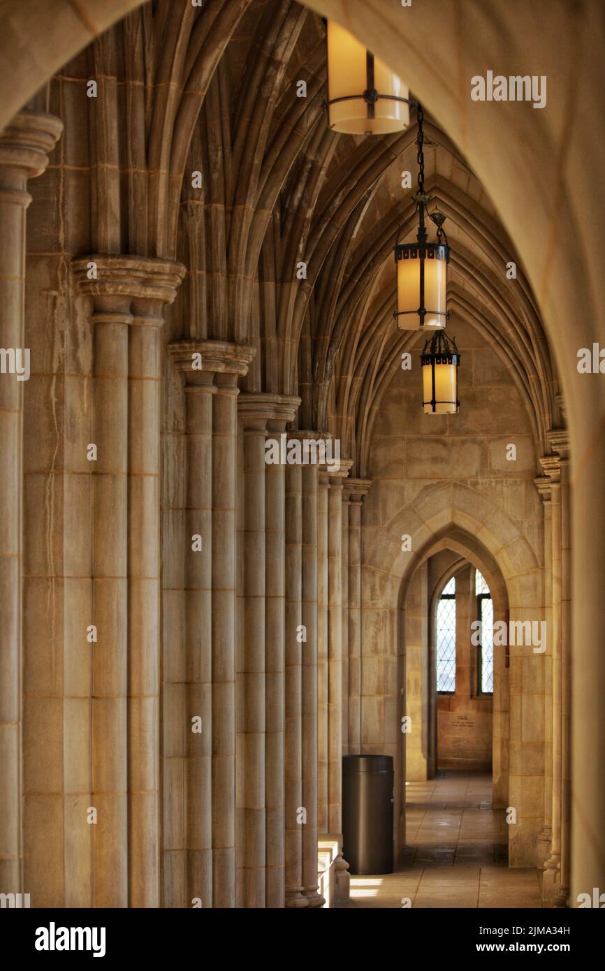 The vertical view of the arches in a medieval cathedral hallway Stock ...
