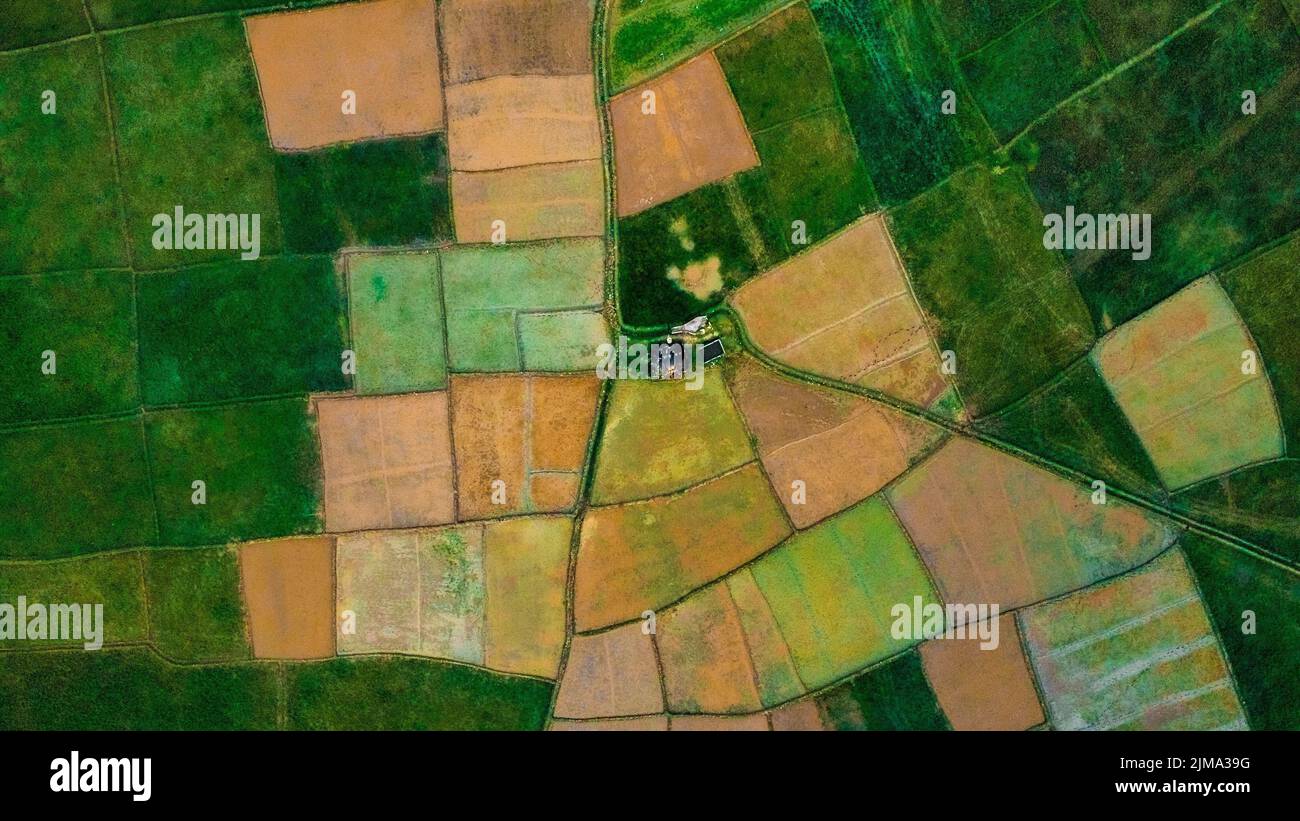 A top view of green agricultural fields and meadows in a rural area in ...