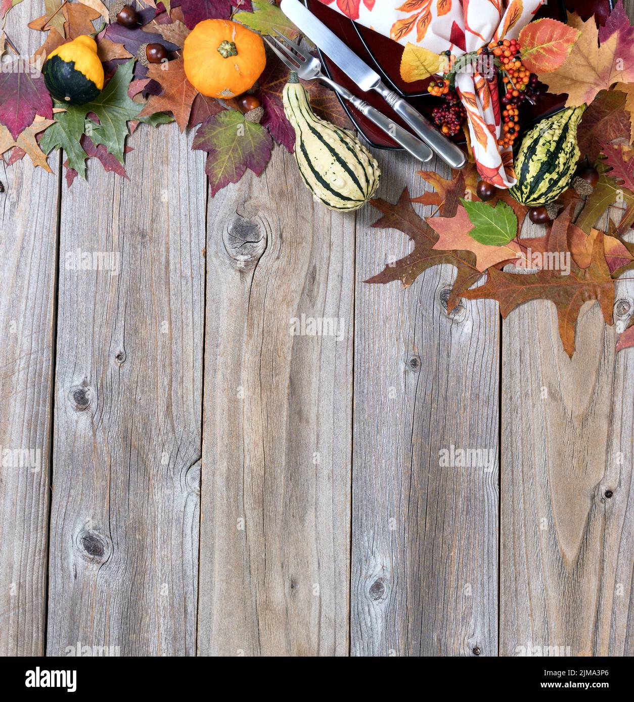 Dinner setting for fall season with real gourd decorations and leaves ...