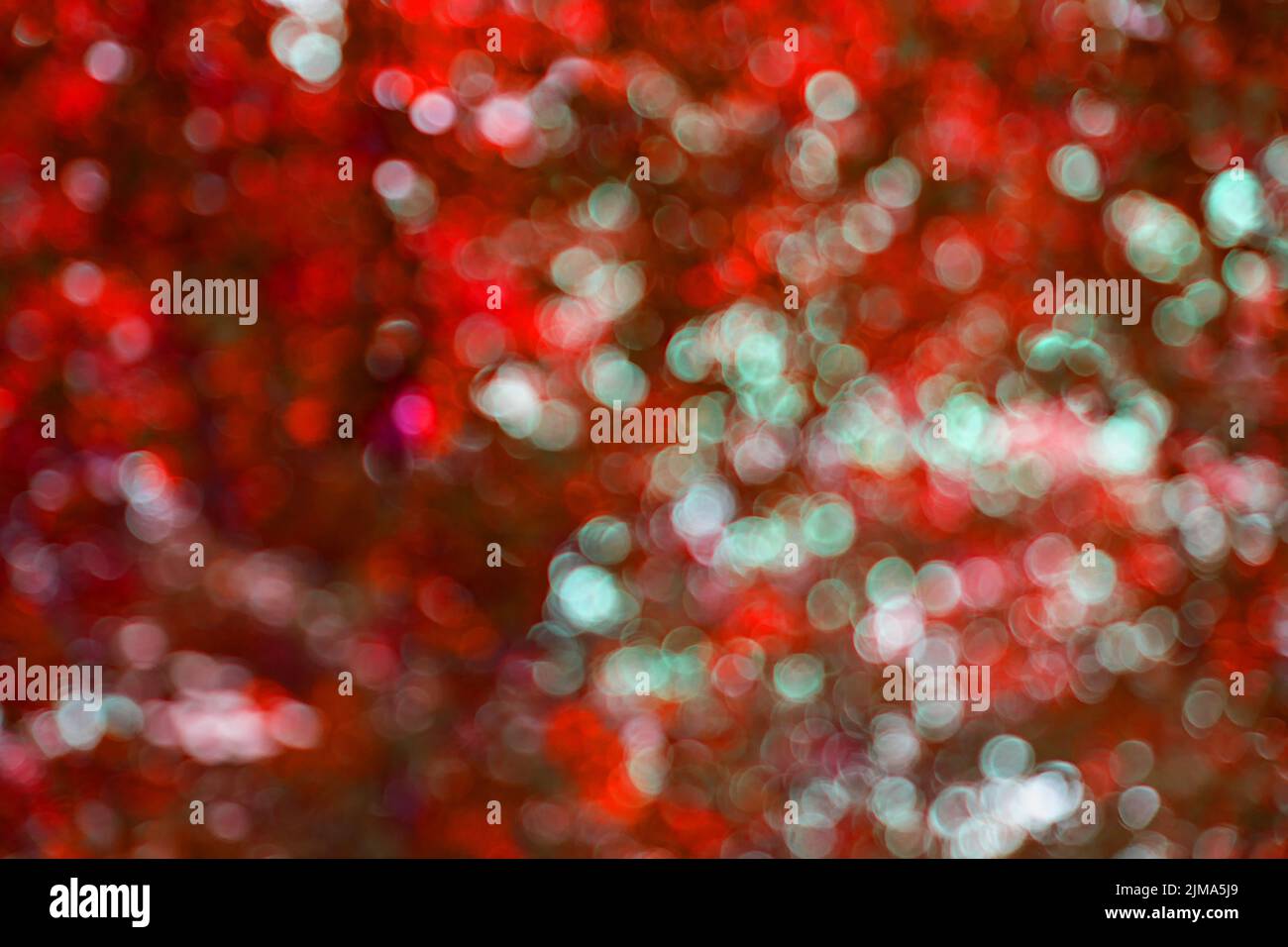 lens flares, blurred bokeh lights in white and turquoise on red for web ...