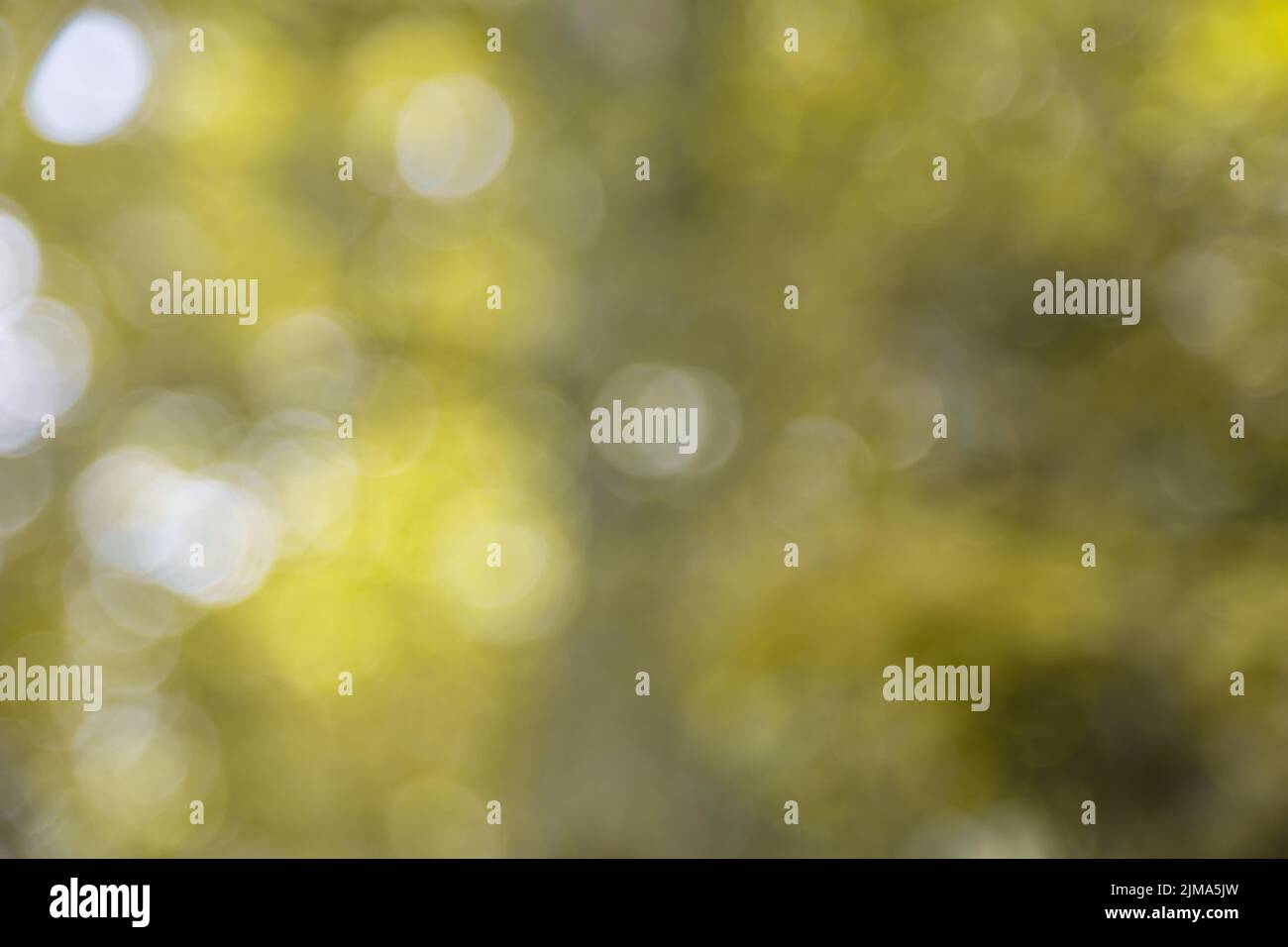 lens flares, blurred bokeh lights in white on yellow for web design ...