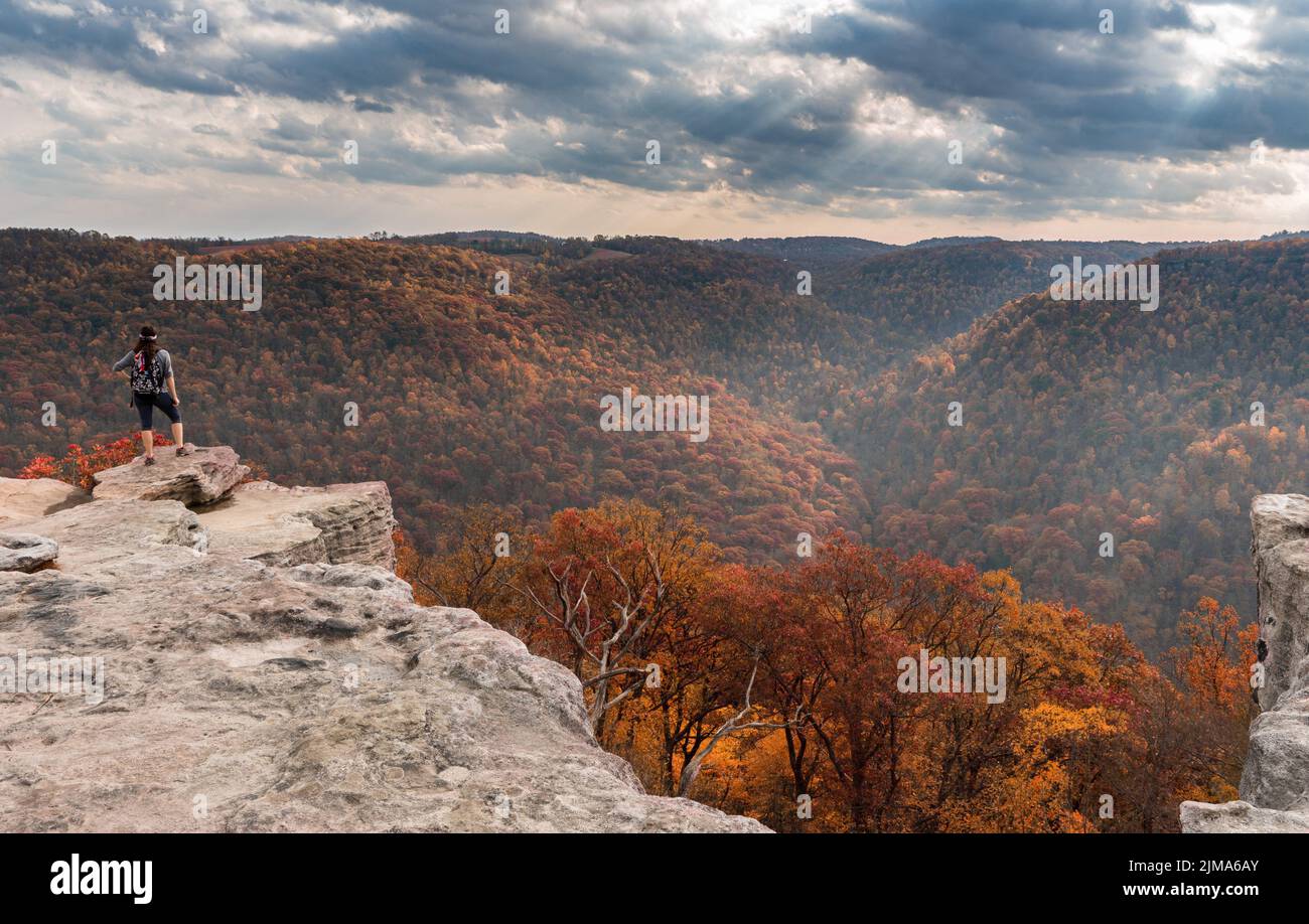 Female Hiker overlooks forest at Coopers Rock State Park WV Stock Photo ...