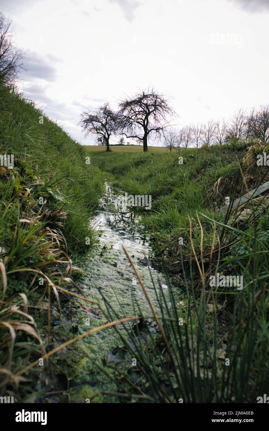 A vertical shot of a creek flowing through a green field on a cloudy ...
