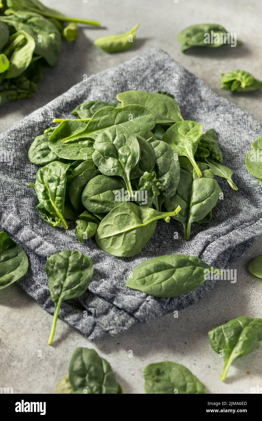 Raw Green Organic Baby Spinach Ready to Cook Stock Photo - Alamy