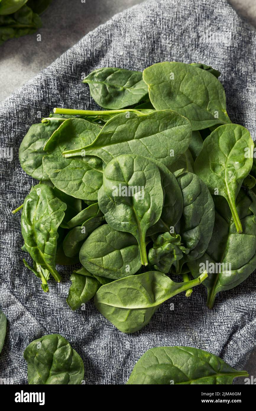Raw Green Organic Baby Spinach Ready to Cook Stock Photo - Alamy