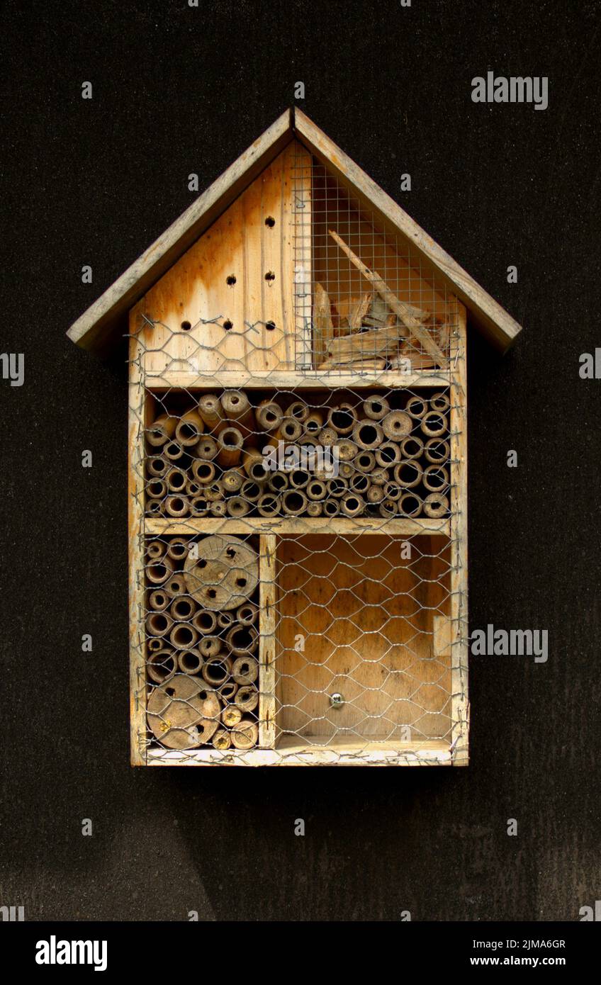 insect house hanging on a wall Stock Photo - Alamy