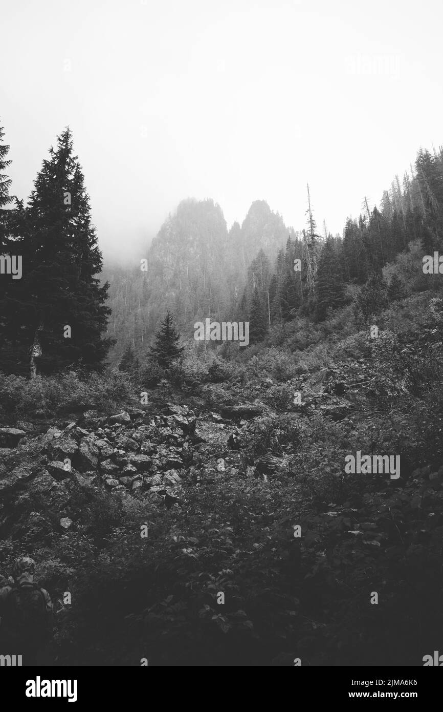 A vertical grayscale shot of rocky mountains covered with trees ...