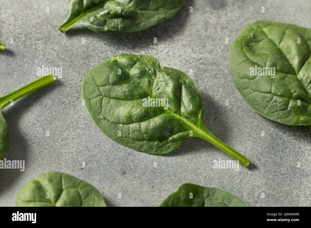 Raw Green Organic Baby Spinach Ready to Cook Stock Photo - Alamy