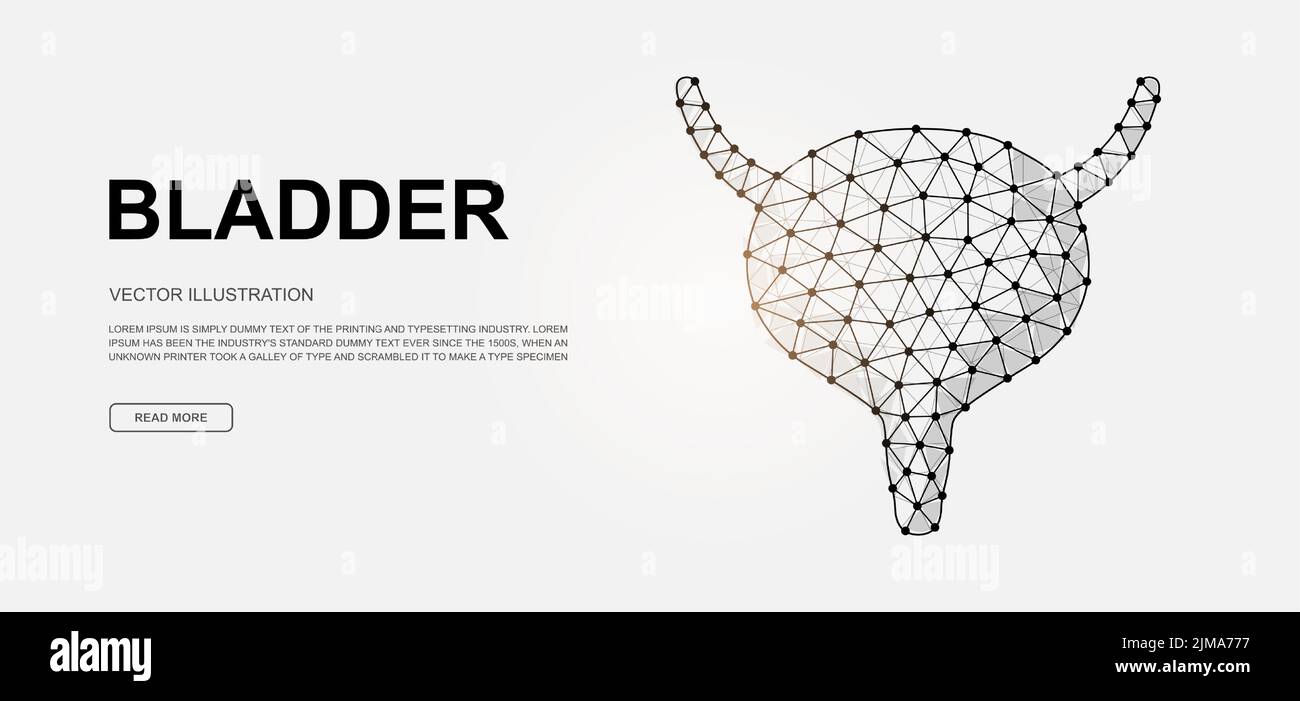 Bladder 3d low poly symbol for landing page template. Reproductive ...