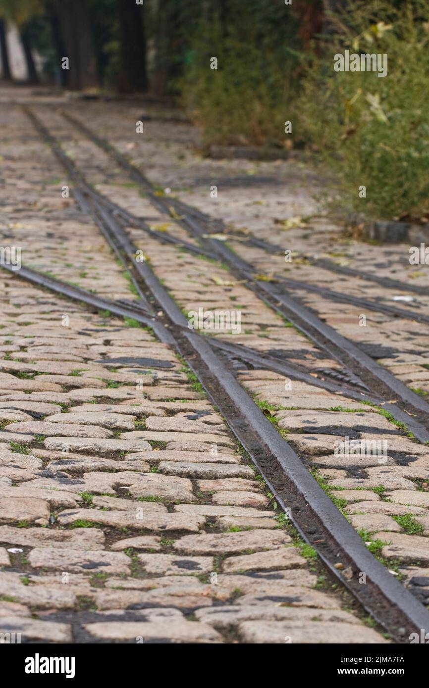 Old tram rails on cobblestone Stock Photo - Alamy