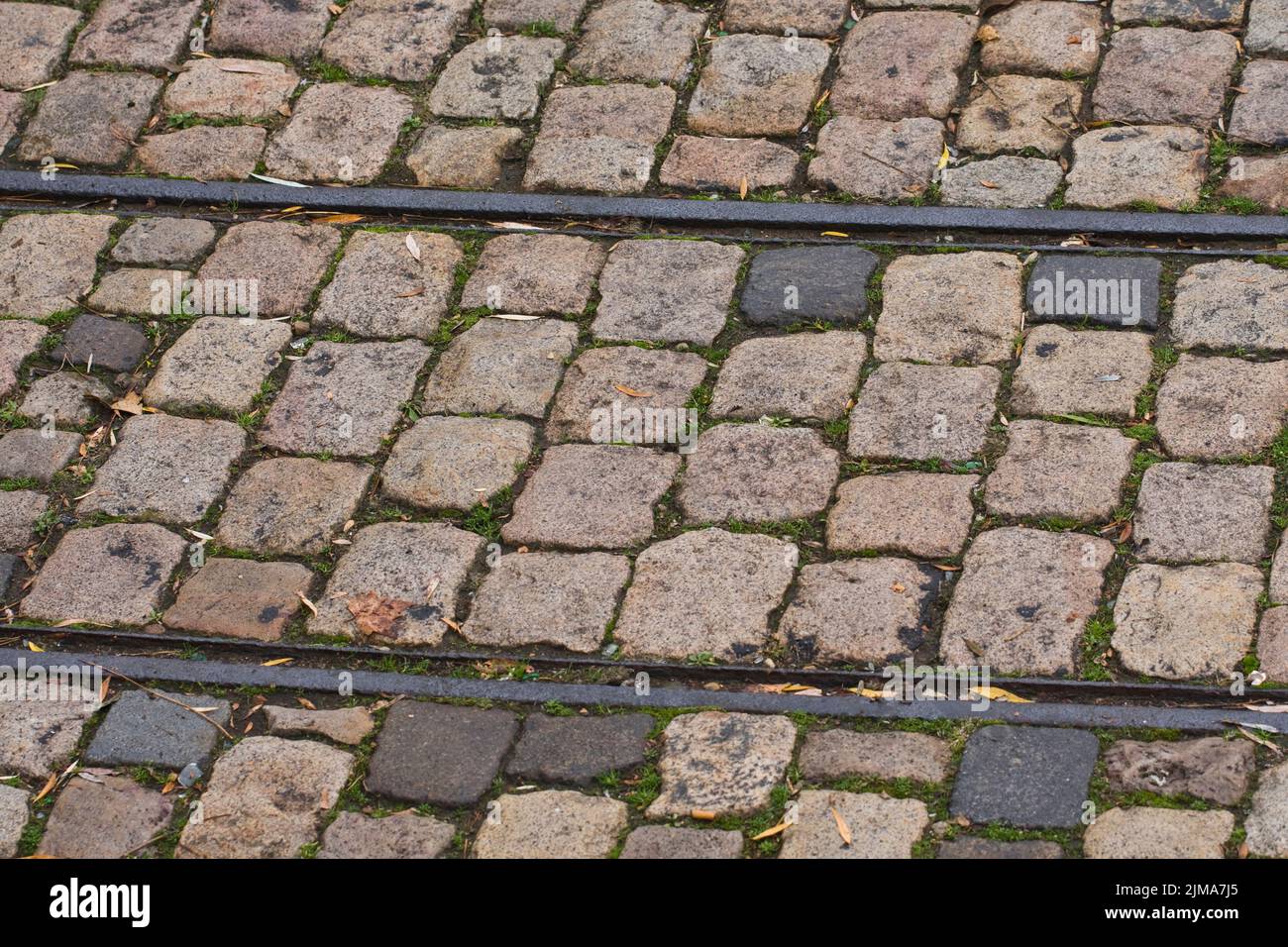 Old tram rails on cobblestone Stock Photo - Alamy