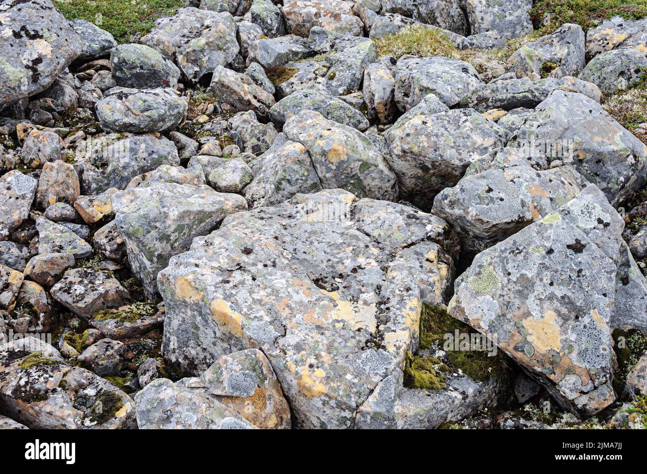 Tundra texture hi-res stock photography and images - Alamy