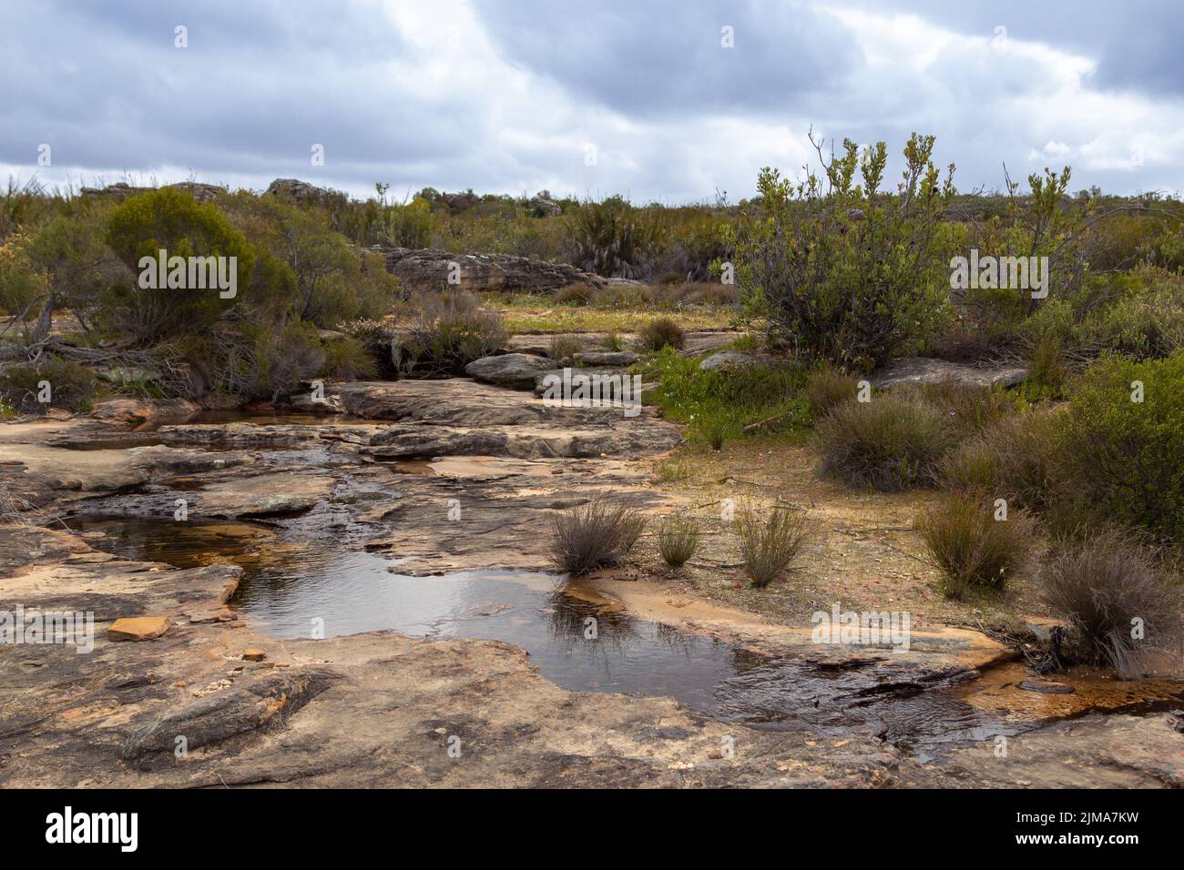 Small Water Pools on the Bokkeveld Plateau in the Northern Cape of ...