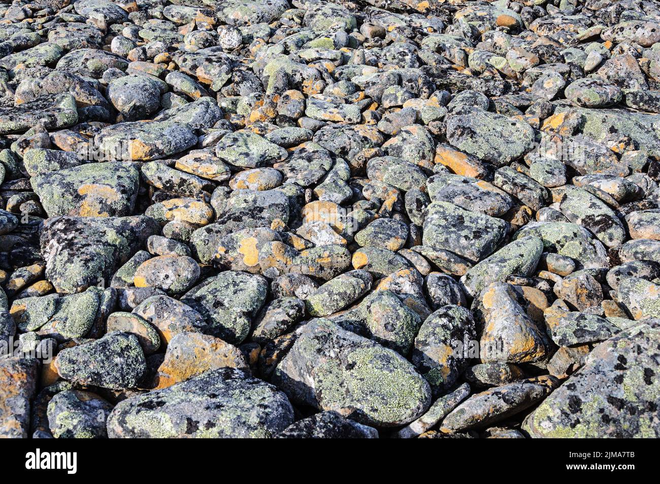 Gray pebbles background Stock Photo - Alamy