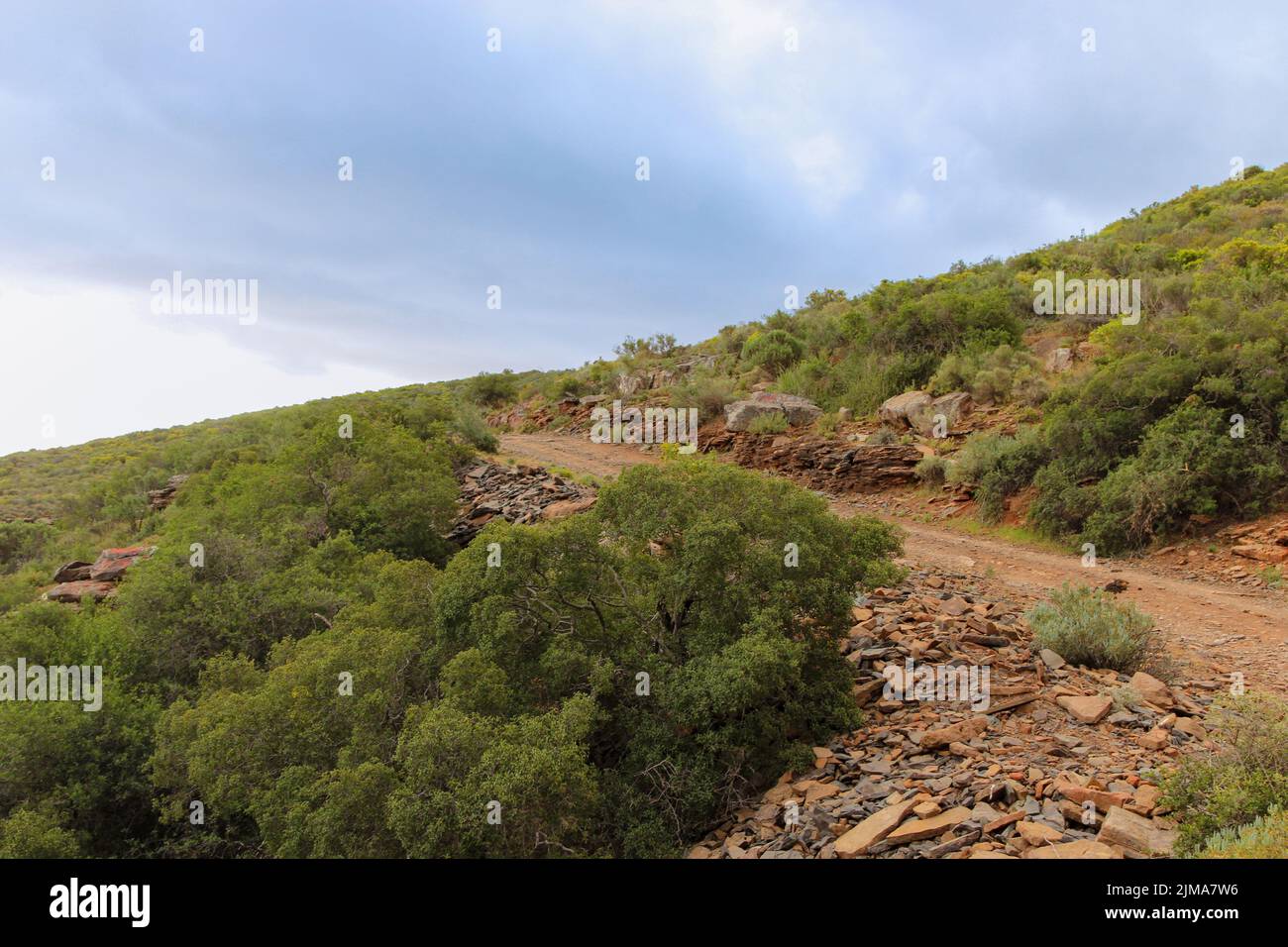The sightseeing pass hi-res stock photography and images - Alamy