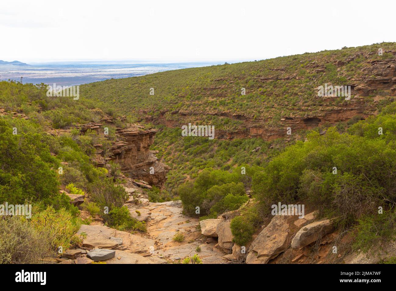 Landscape on the Bokkeveld Plateau north of Nieuwoudtville in the ...