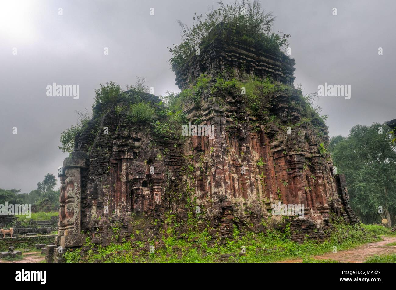 Ancient temple moss covered ruins hi-res stock photography and images - Alamy