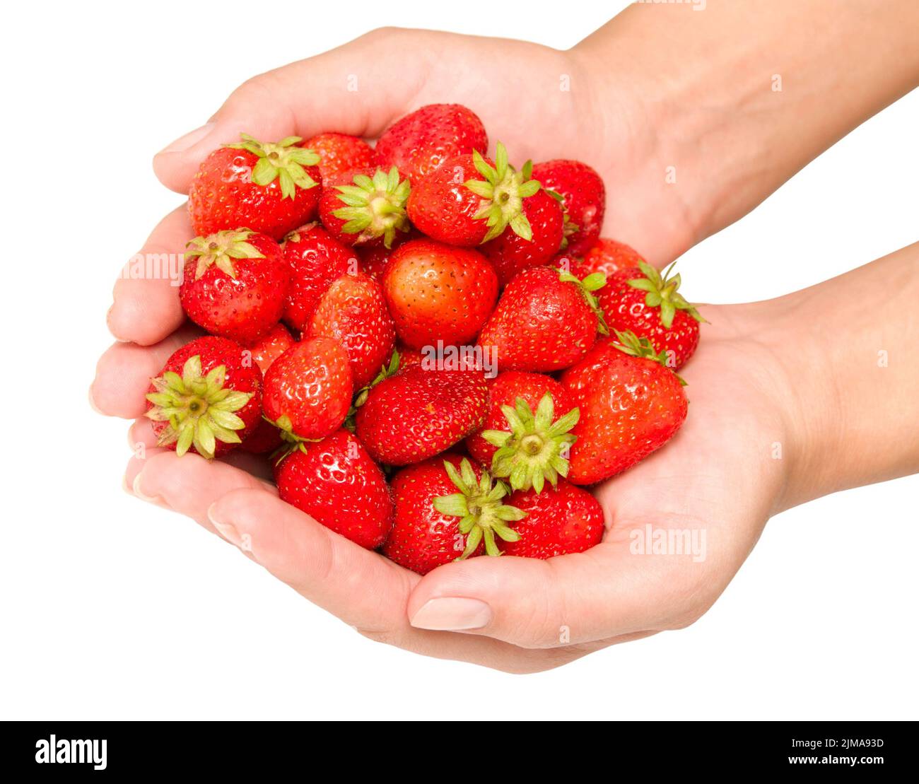Strawberries in a hands Stock Photo - Alamy