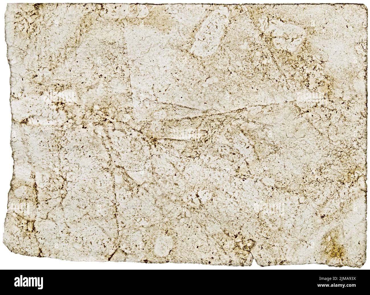 Parchment process hi-res stock photography and images - Alamy