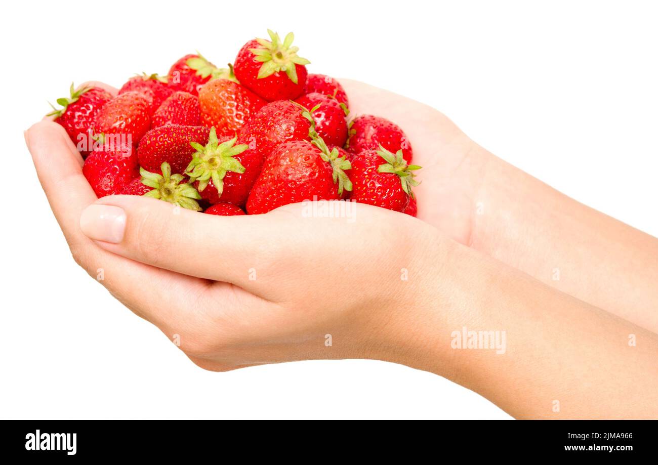 Strawberries in a hands Stock Photo - Alamy
