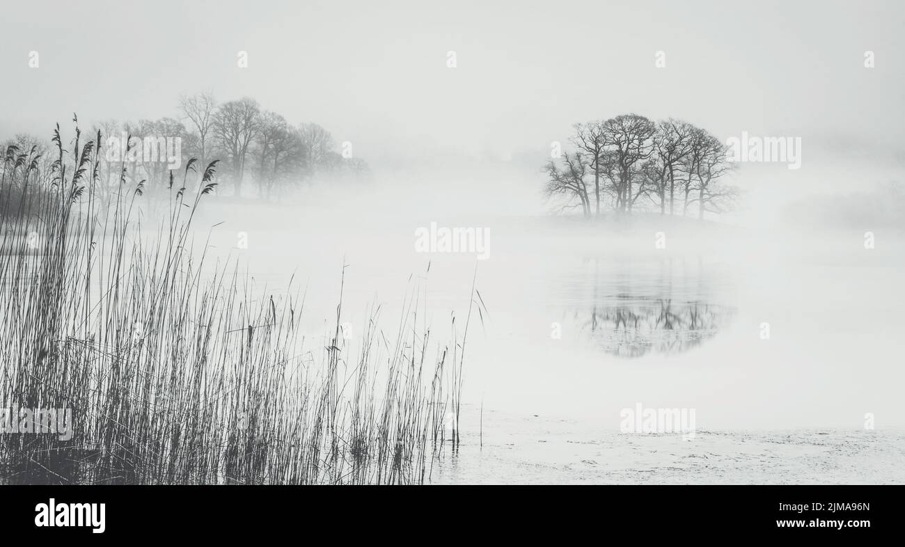 A misty morning at Esthwaite Water in the Lake District Stock Photo - Alamy