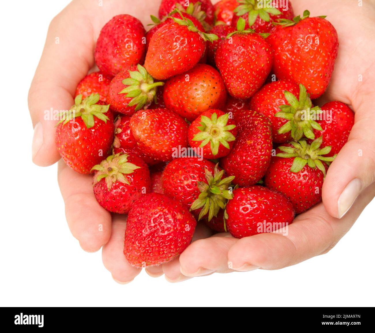 Strawberries in a hands Stock Photo - Alamy