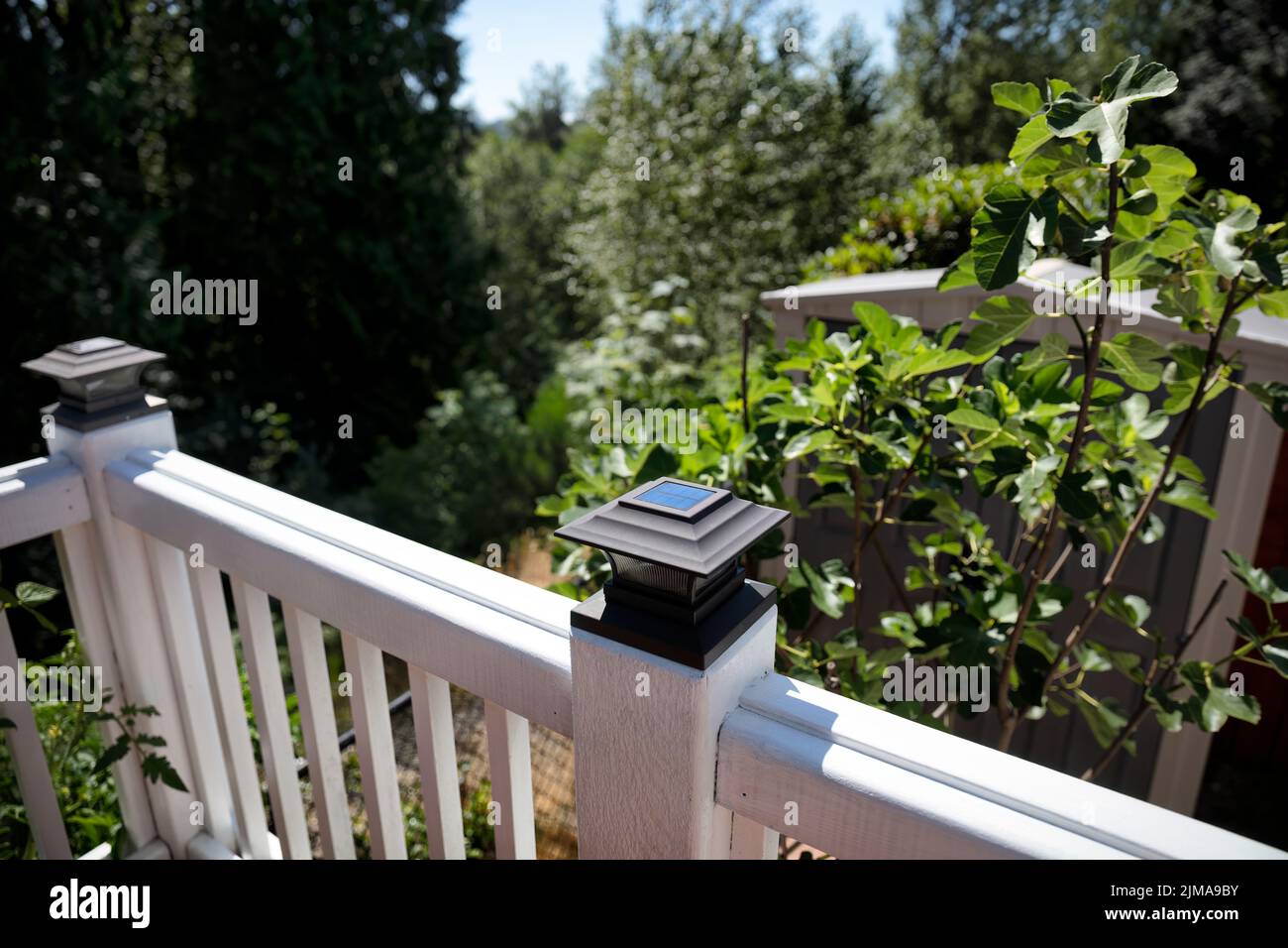 Solar powered led lights on outdoor deck post with trees in background ...