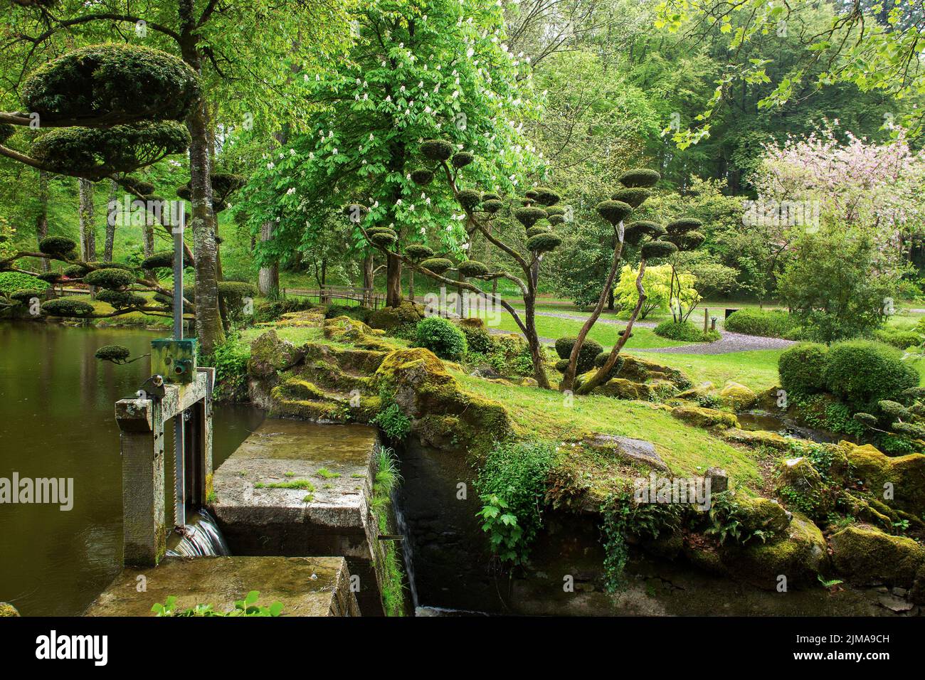 topiary trees in Maulivrier Japanese garden . Idyllic day at Pays de la ...