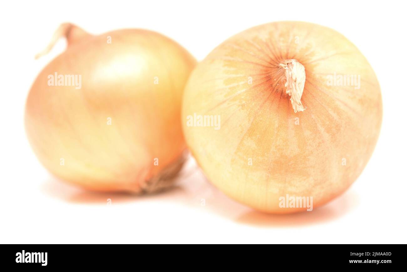 Cross section of an onion Cut Out Stock Images & Pictures - Alamy