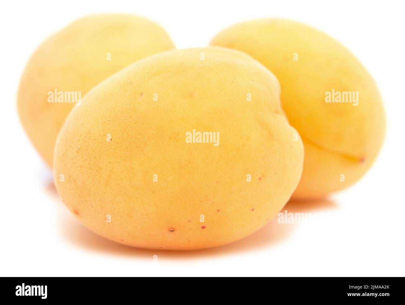 Dried apricots leaf hi-res stock photography and images - Alamy