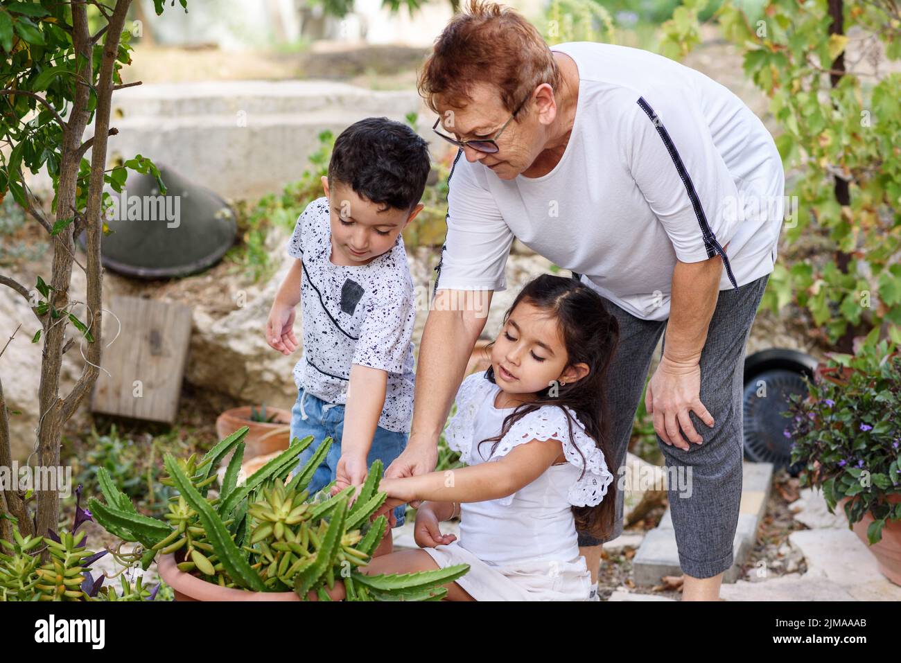 Two Children Help Their Grandmother Care Plants In Backyard. Family In ...