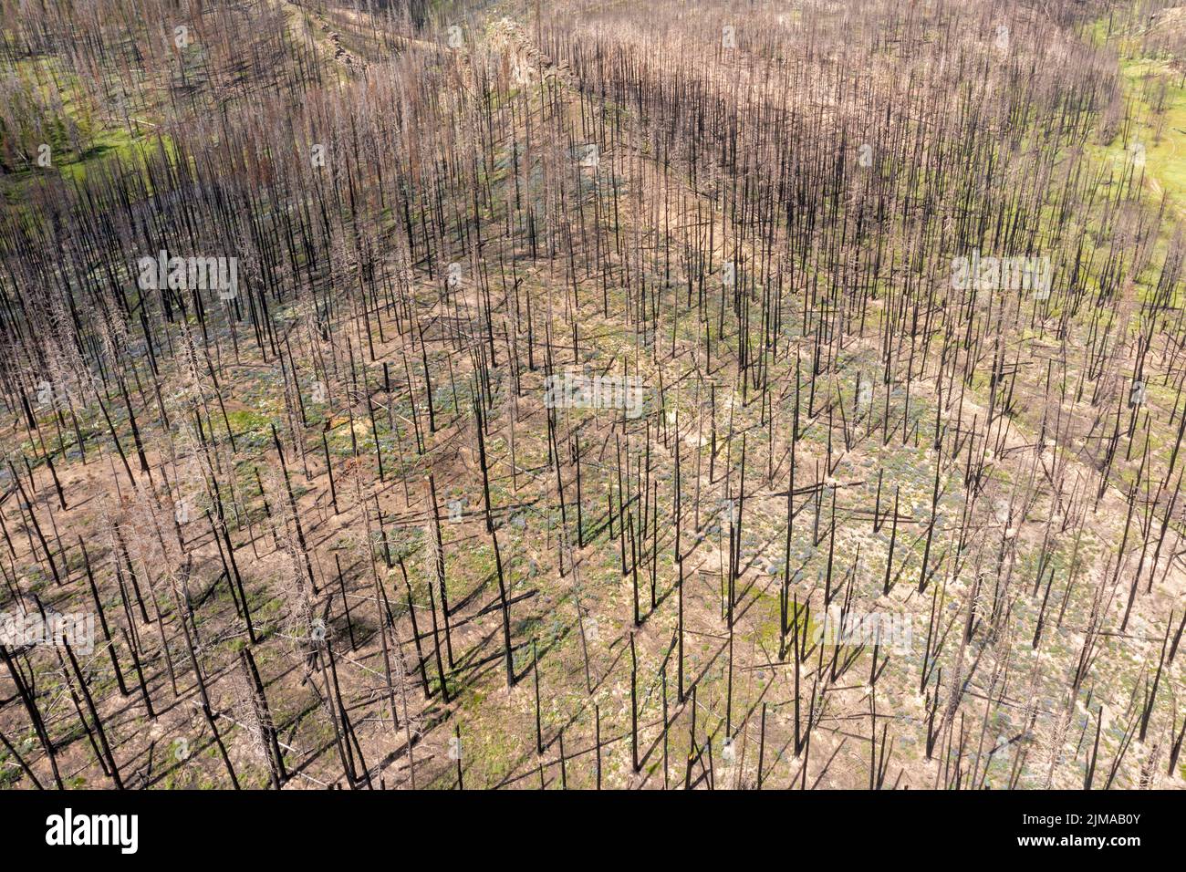 Grand County, Colorado - The aftermath of the East Troublesome Fire ...