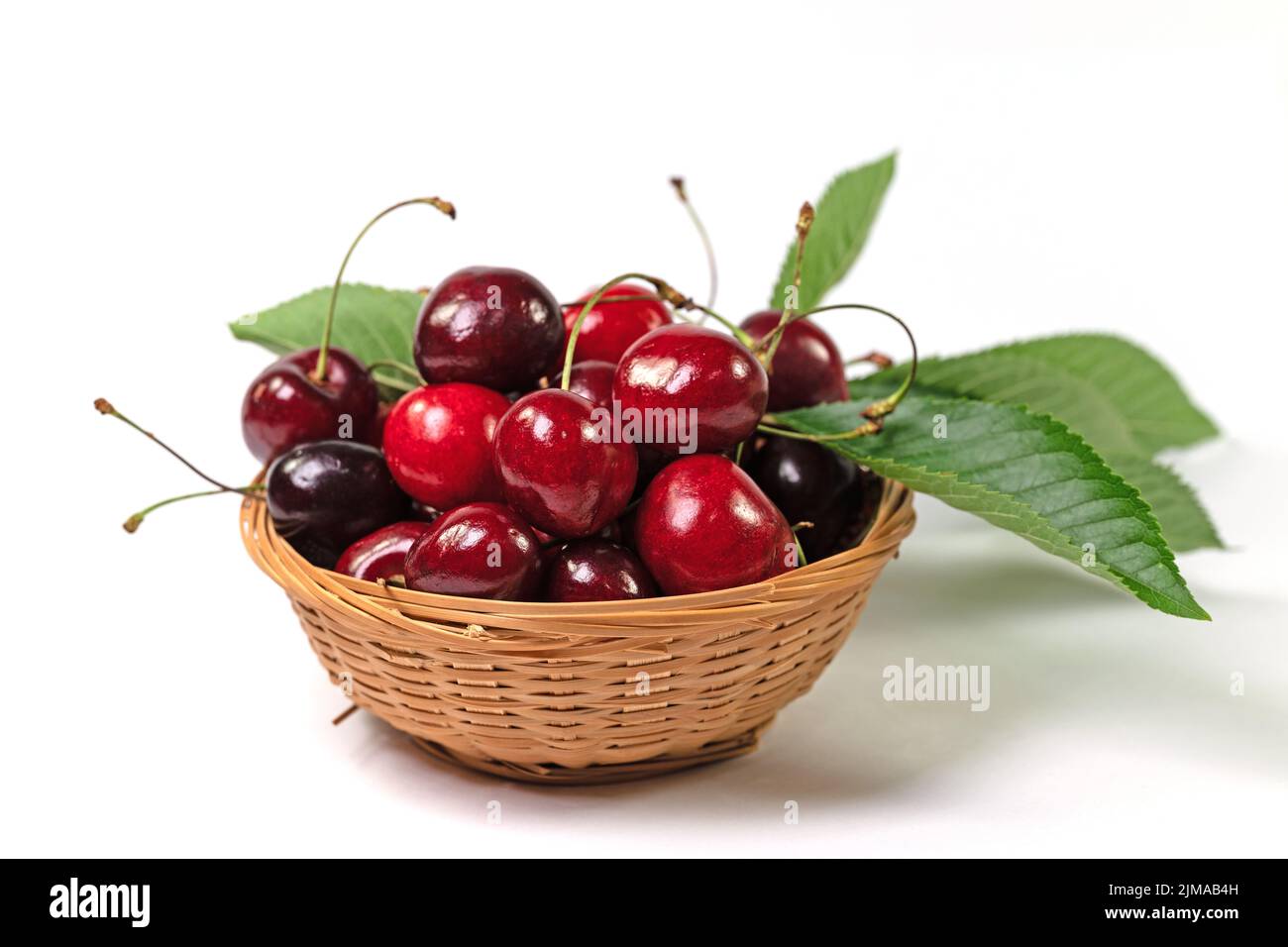Sweet cherries, Prunus avium, against white background Stock Photo - Alamy