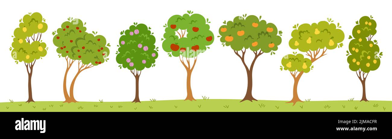 Tangerine trees Stock Vector Images - Alamy