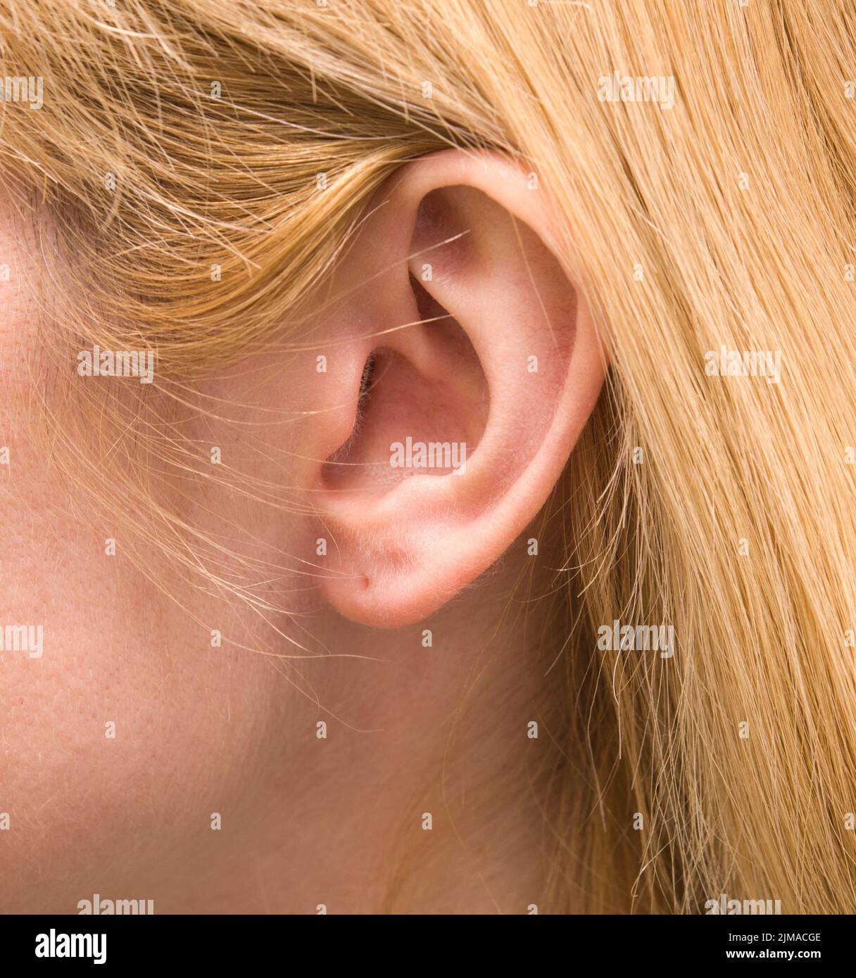Female ear hi-res stock photography and images - Alamy