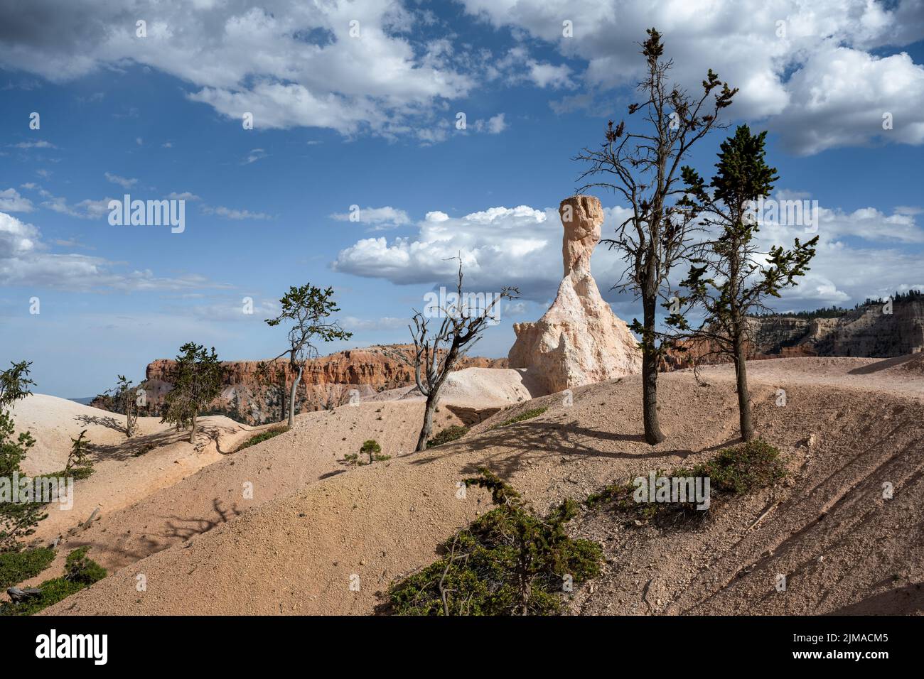 Rock structures in Bryce Canyon with wild trees and blue sky Stock ...