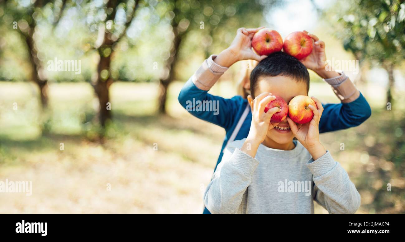 Children with Apple in Apple Orchard. Harvest Concept. Garden, Boy and ...