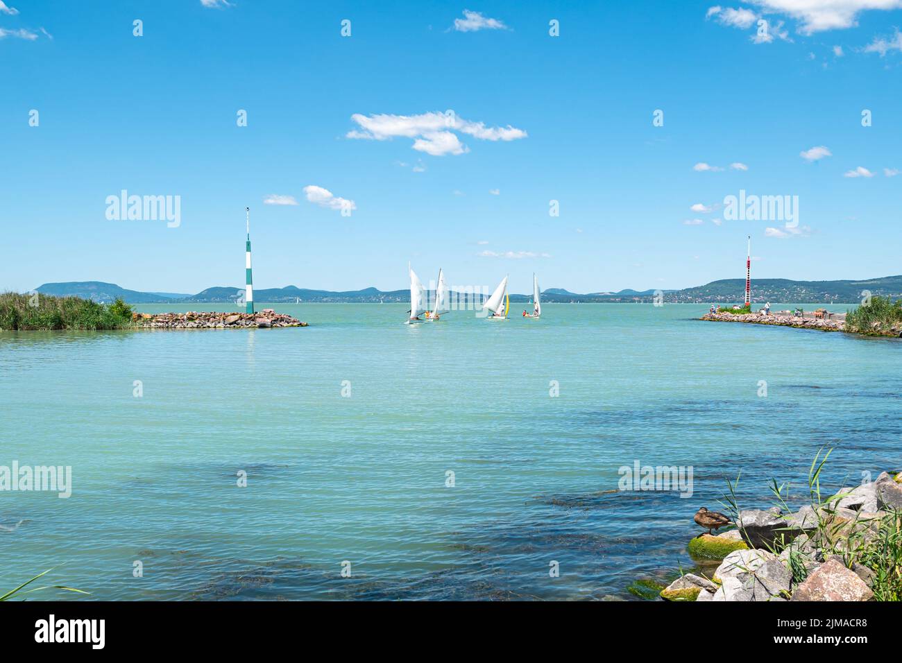 Sailboats sail along the piers of the port of Balatonlelle at Lake ...